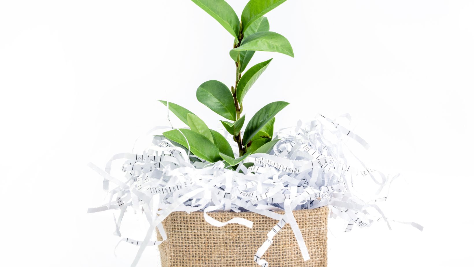 Sustainable Recycling Through Document Shredding